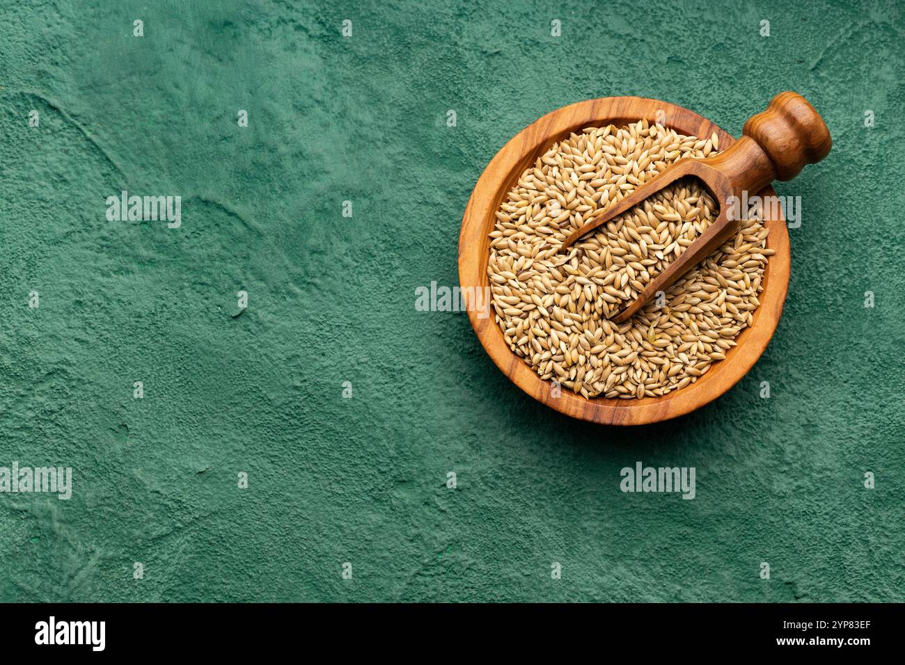 Phalaris canariensis - Bird seed food grain Stock Photo - Alamy