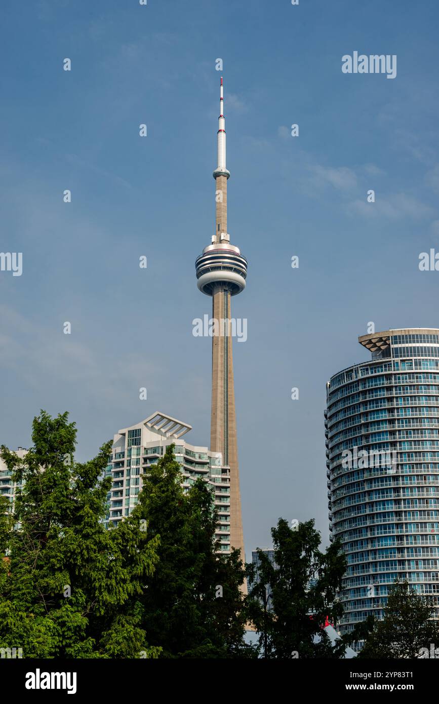 Toronto sky scrapers and CN Tower Stock Photo - Alamy