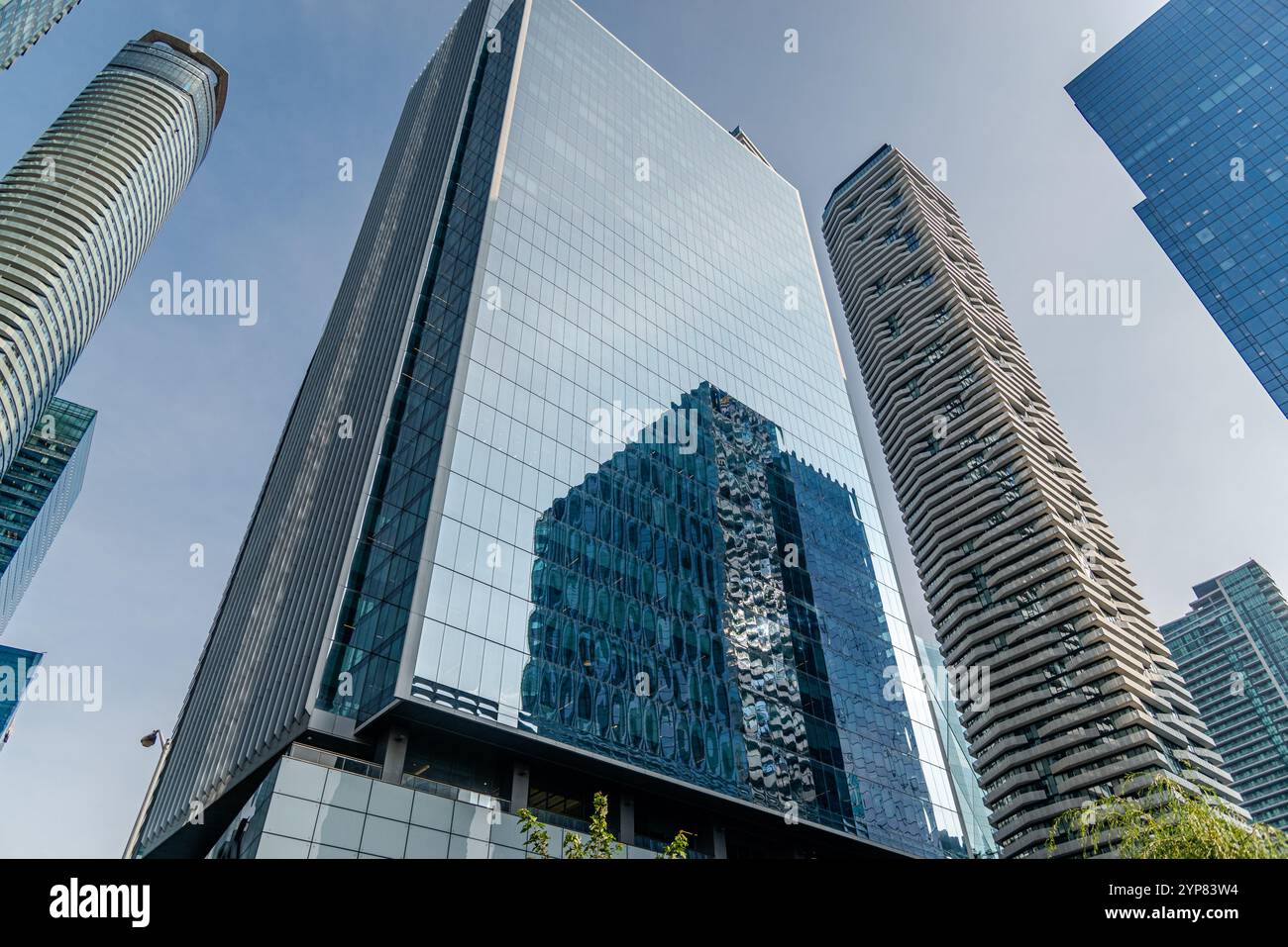 Toronto sky scrapers and CN Tower Stock Photo - Alamy