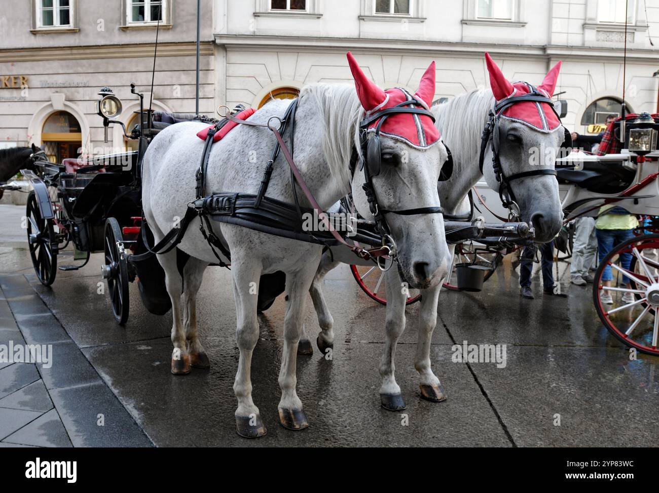 Horses and carriages known as fiakers await passengers at a stand in ...