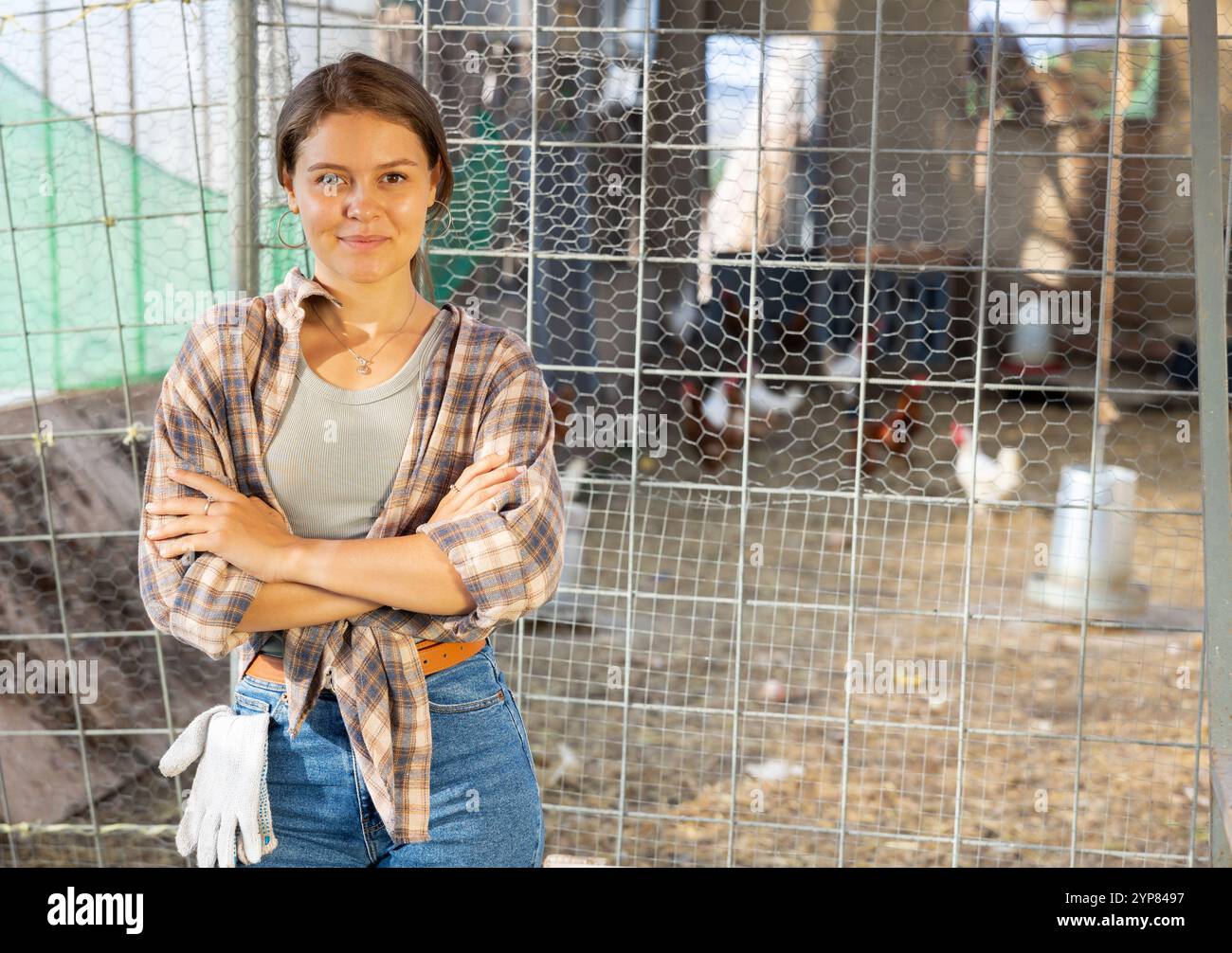 Chicken posture hi-res stock photography and images - Alamy