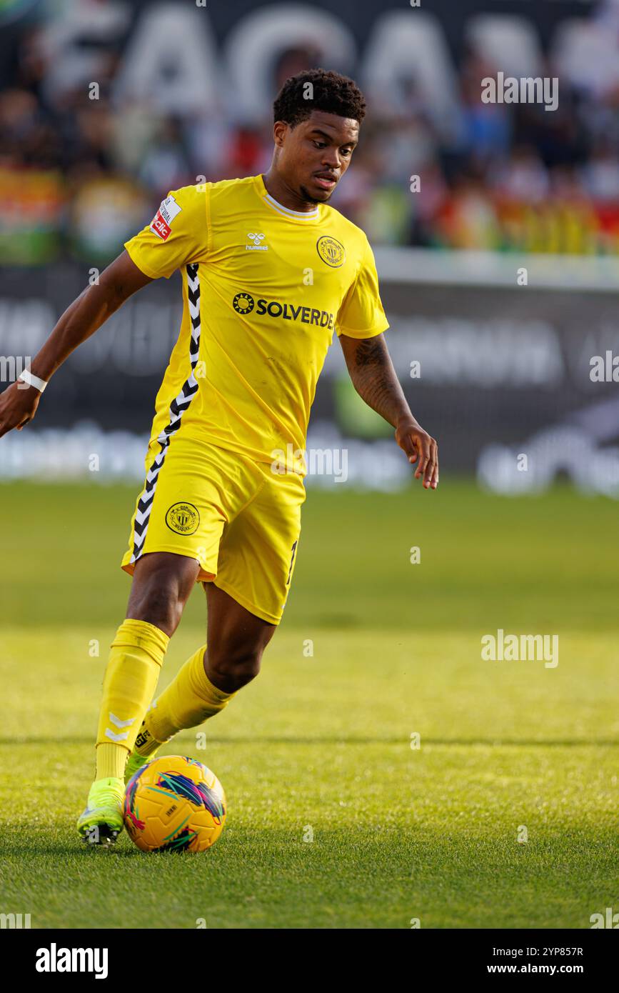 Bruno esteves hi-res stock photography and images - Alamy