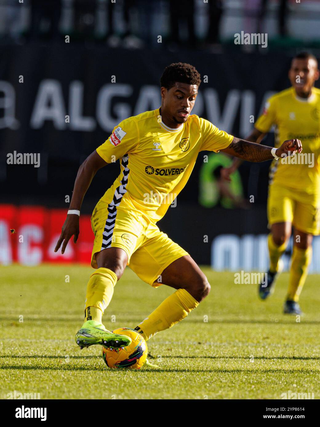 Bruno esteves hi-res stock photography and images - Alamy
