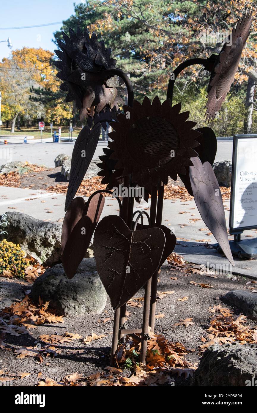 Sunflower sculpture at High Park on Bloor Street West in Toronto ...