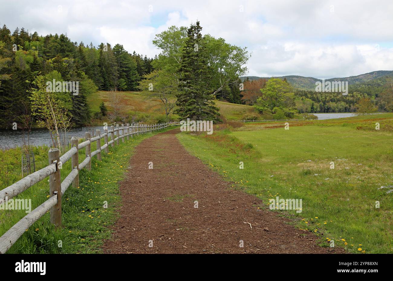 Landscape on Little Long Pond - Acadia National Park, Maine Stock Photo ...