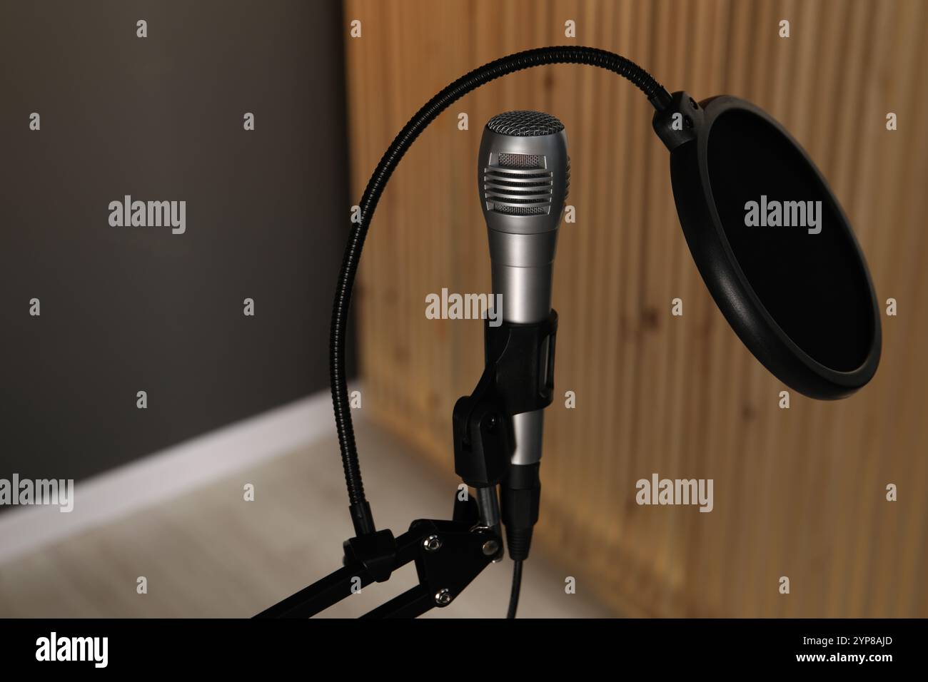 Stand with microphone and pop filter indoors. Sound recording and ...