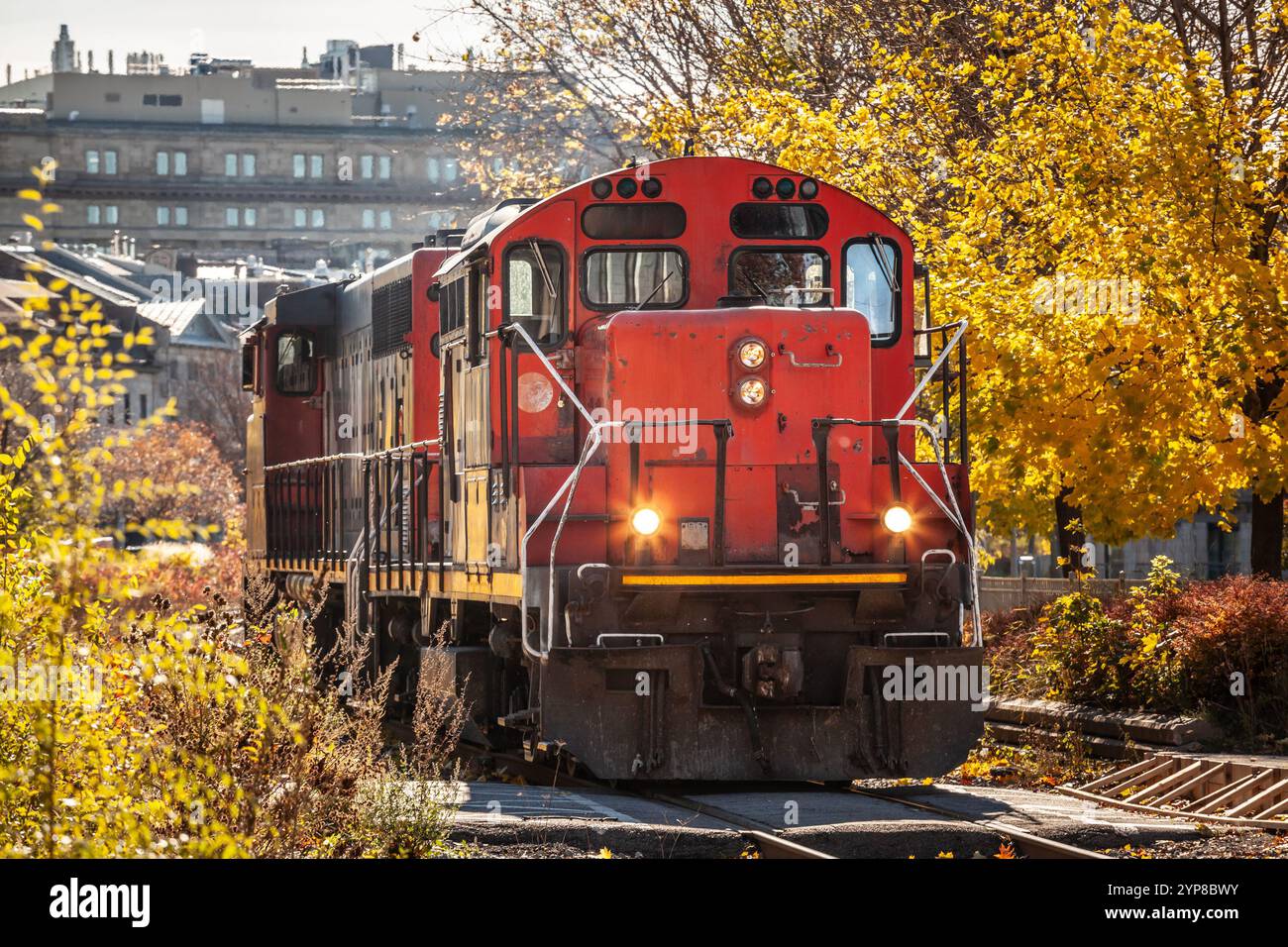 A diesel freight locomotive carrying cargo through autumn scenery in ...