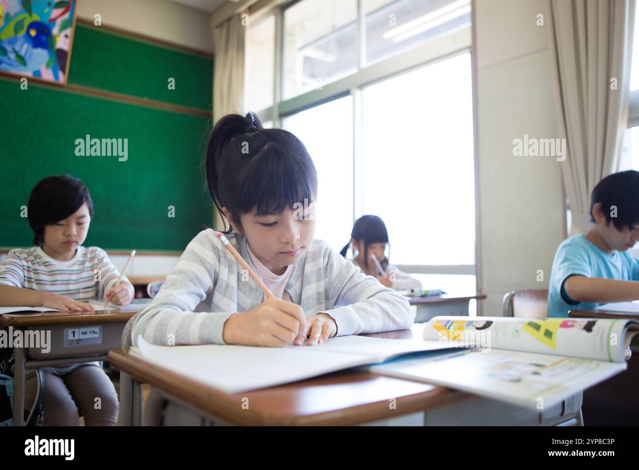 Primary schools students studying in a classroom Stock Photo - Alamy
