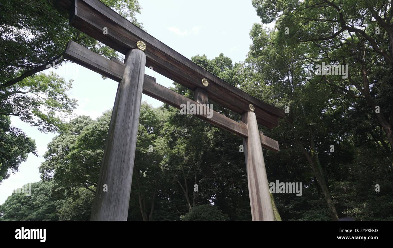 Tori Gate in Tokyo - Japan Stock Photo - Alamy