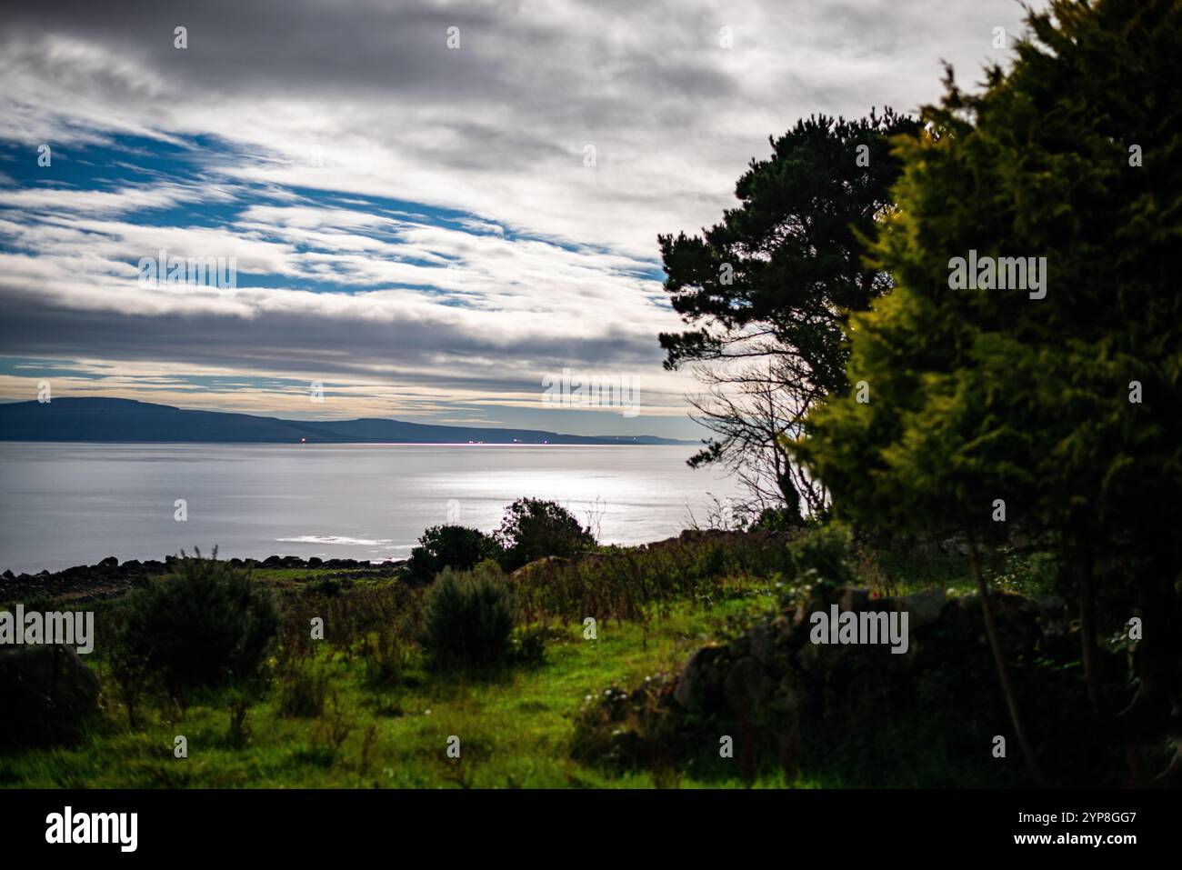 'Behind the Night Trees' - landscape, night shot, Galway Bay, Ireland ...