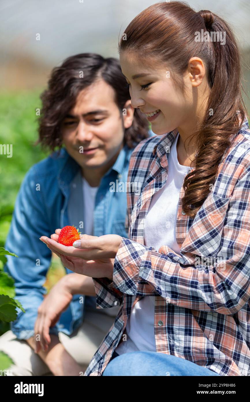 Two people strawberry picking hi-res stock photography and images - Alamy