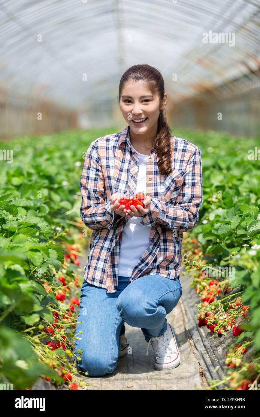 Strawberry picking with model hi-res stock photography and images - Alamy