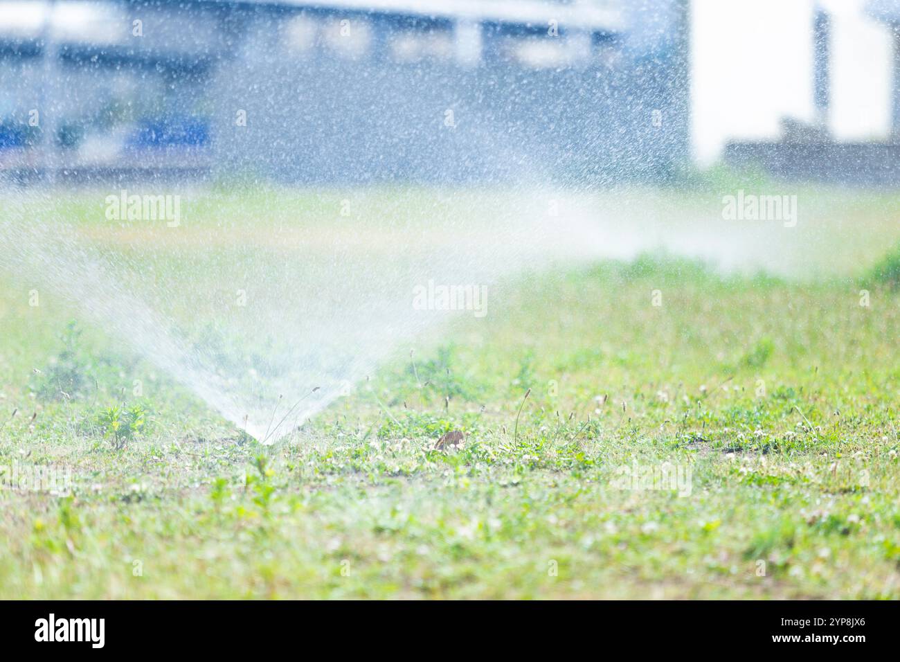 Water sprinklers in park watering hi-res stock photography and images ...