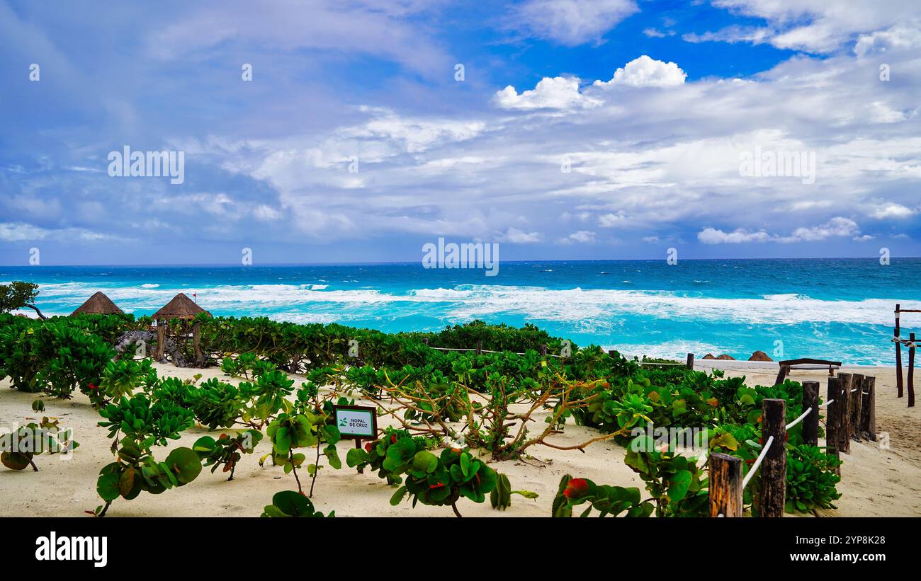 Playa Delfines beach with powdery silver sands and Turquoise blue ...