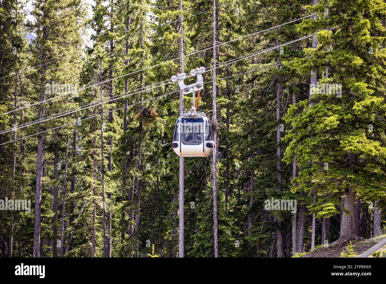 Cable car suspended above forest hi-res stock photography and images ...