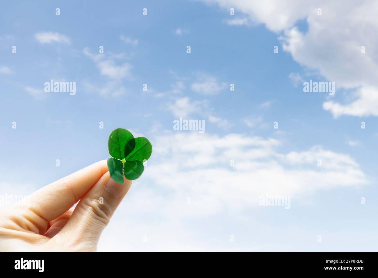 Good luck green clover hi-res stock photography and images - Alamy