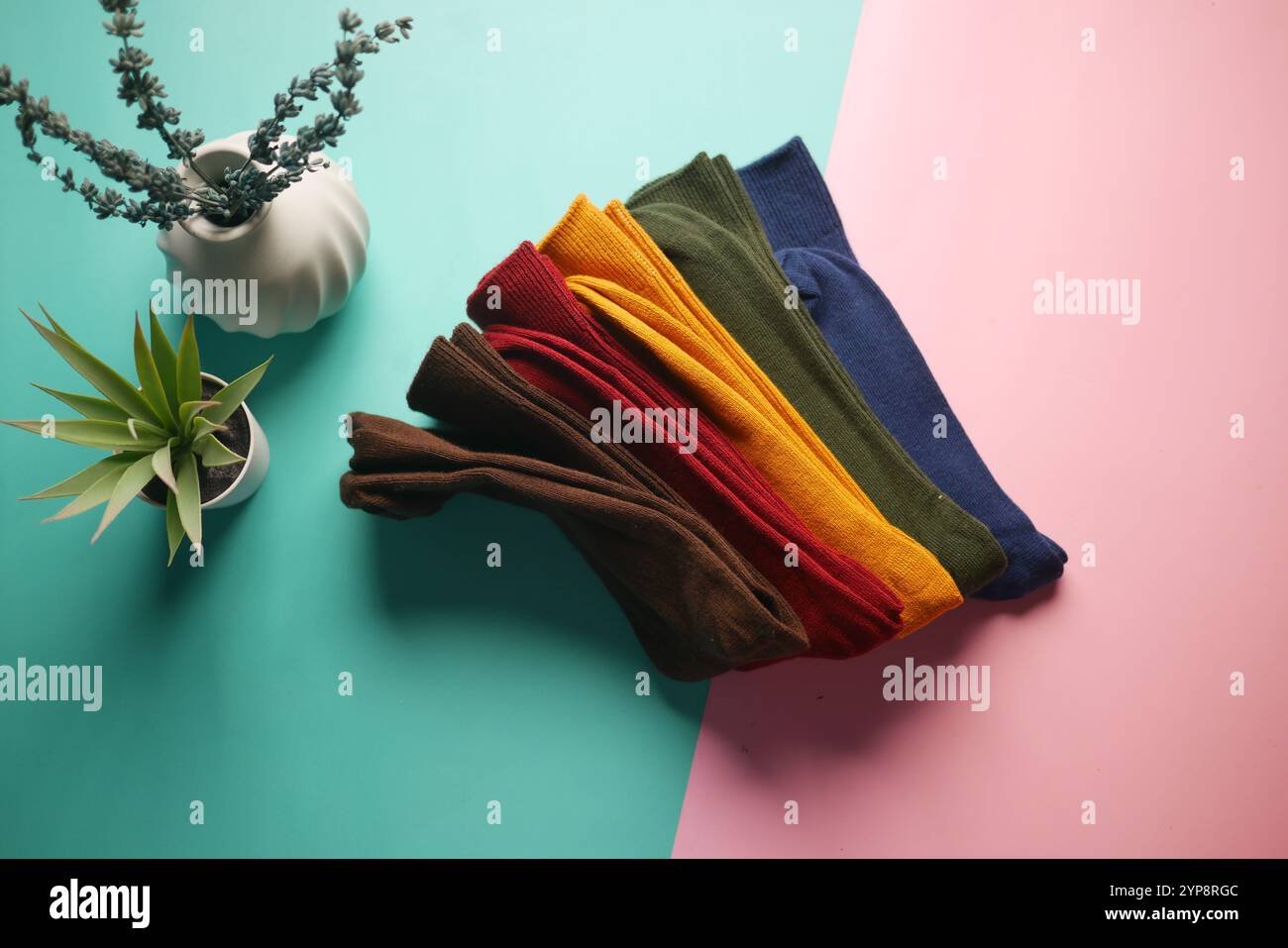 Explore our vibrant and colorful socks collection showcased beautifully ...