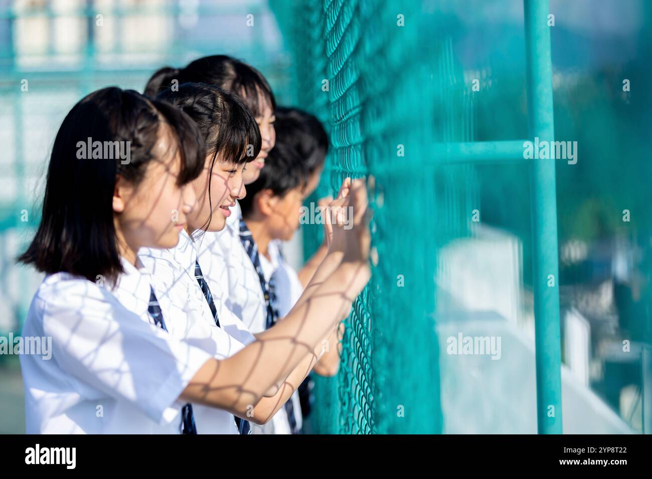 Junior high school students on rooftop Stock Photo - Alamy