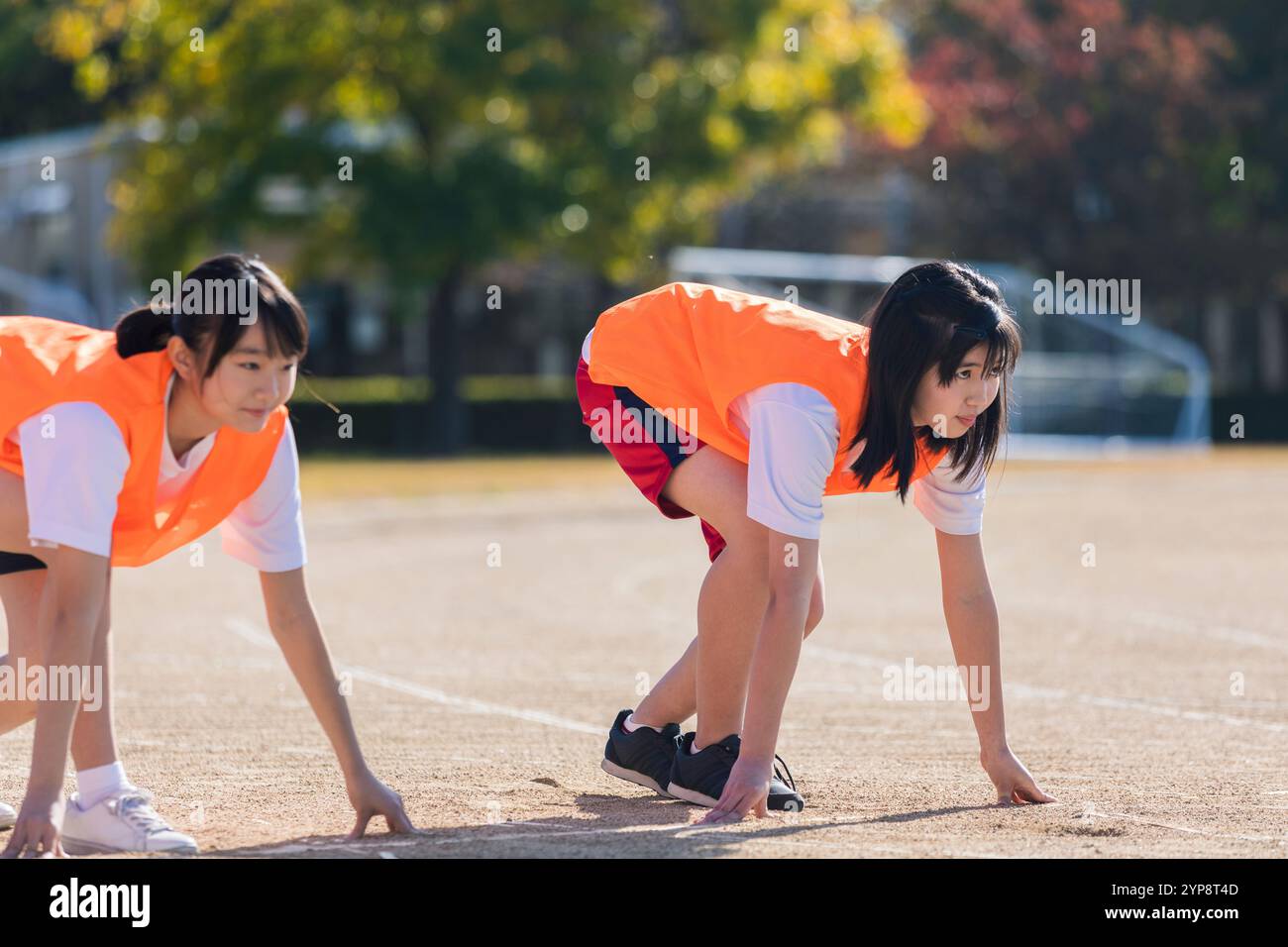 High school students lining up at the start line Stock Photo - Alamy