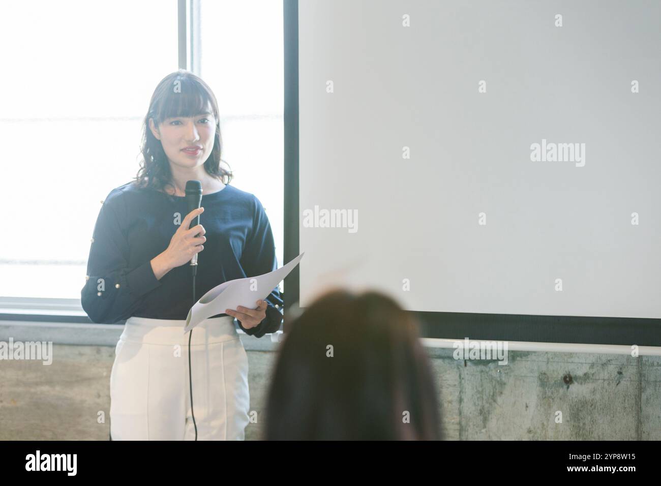 Scene of presentation Stock Photo - Alamy