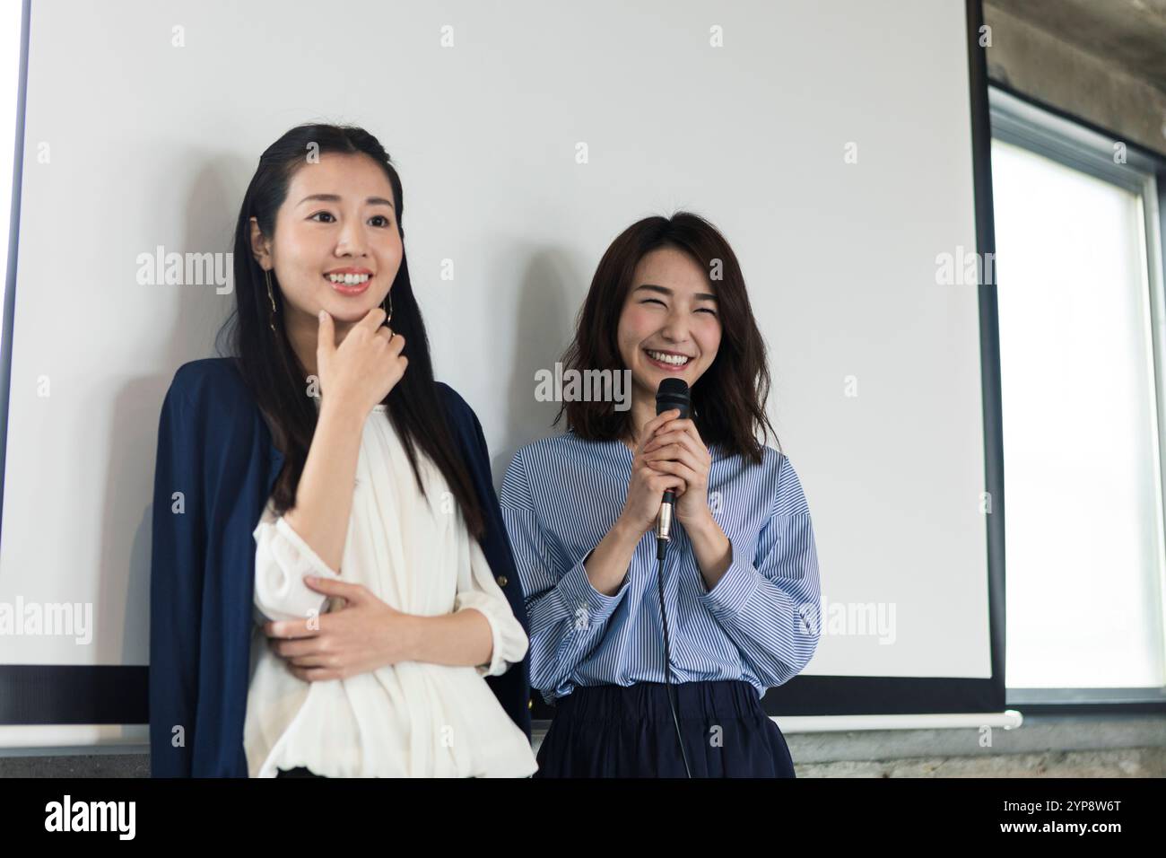 Scene of presentation Stock Photo - Alamy