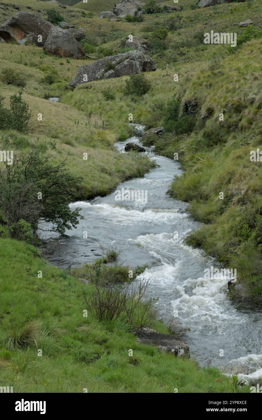 Scenic view of meandering mountain stream Highmoor nature park ...