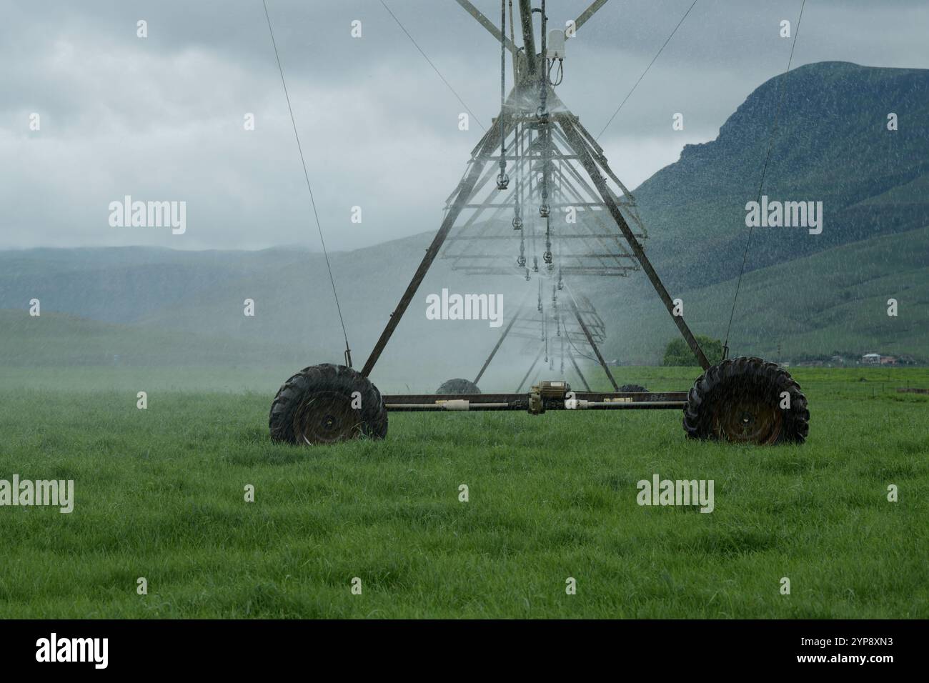 Agriculture, irrigation equipment in green field on commercial farm ...