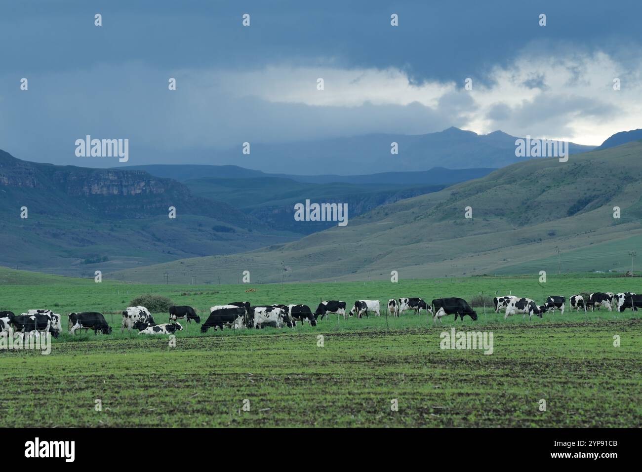 African landscape, beautiful countryside, foot hills of Drakensberg ...