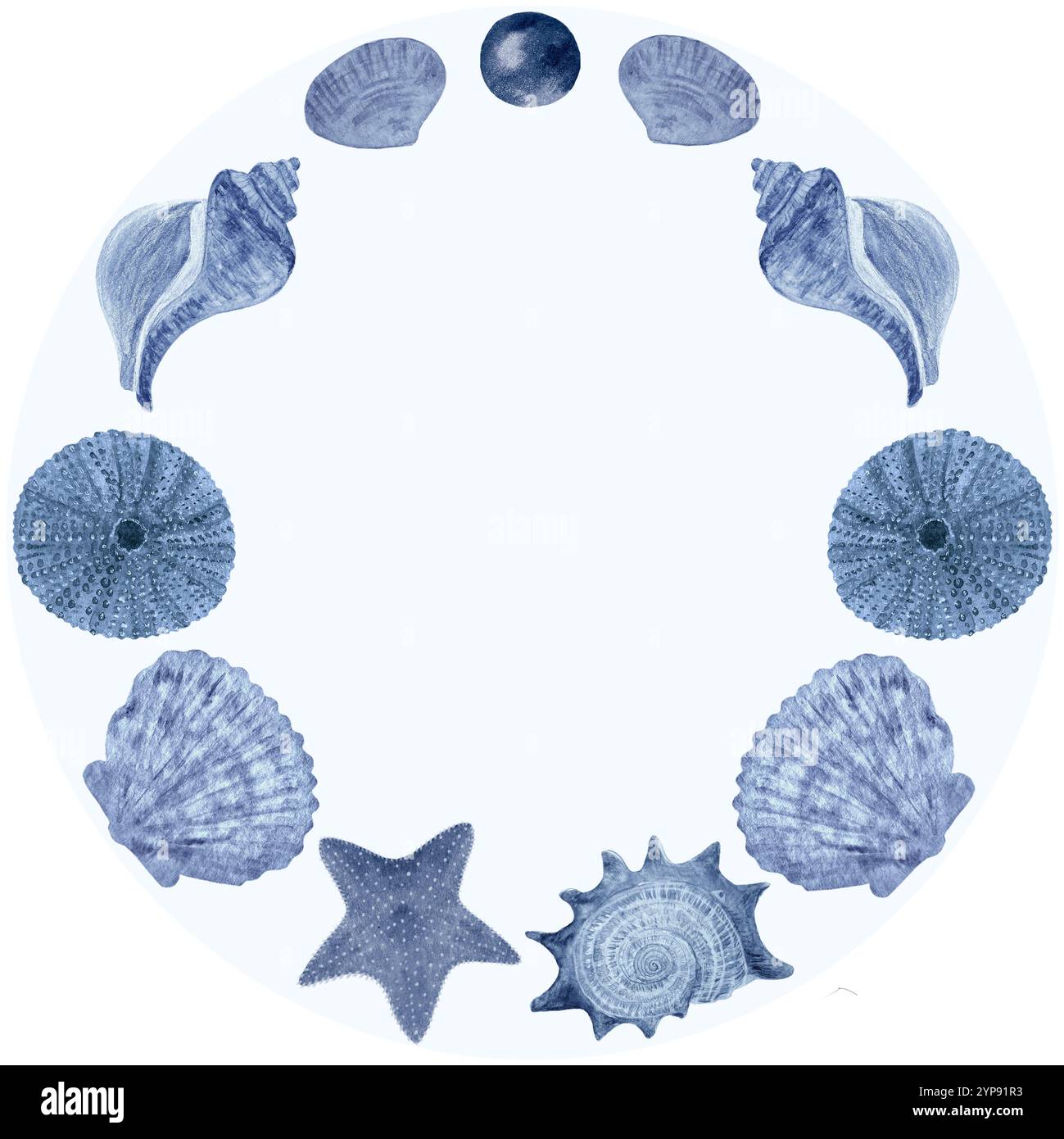 Shell conch, sea urchin watercolor monochrome blue frame isolated on ...