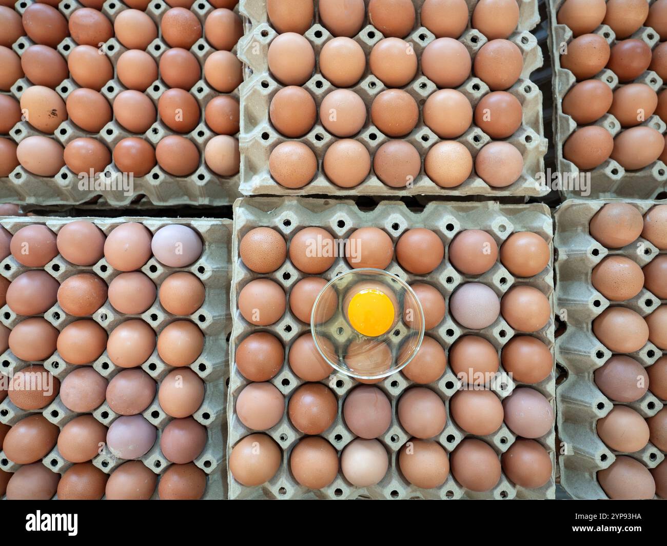 Organic Chicken Egg in tray or egg box contains high protein and ...