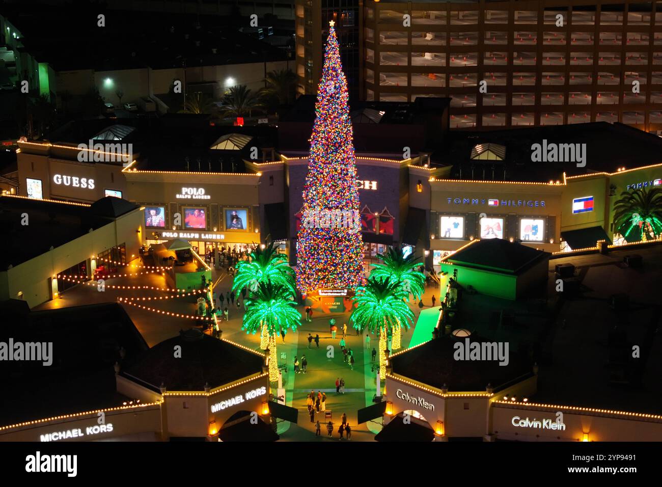 The "World’s tallest fresh-cut Christmas Tree," a 115-foot white fir ...