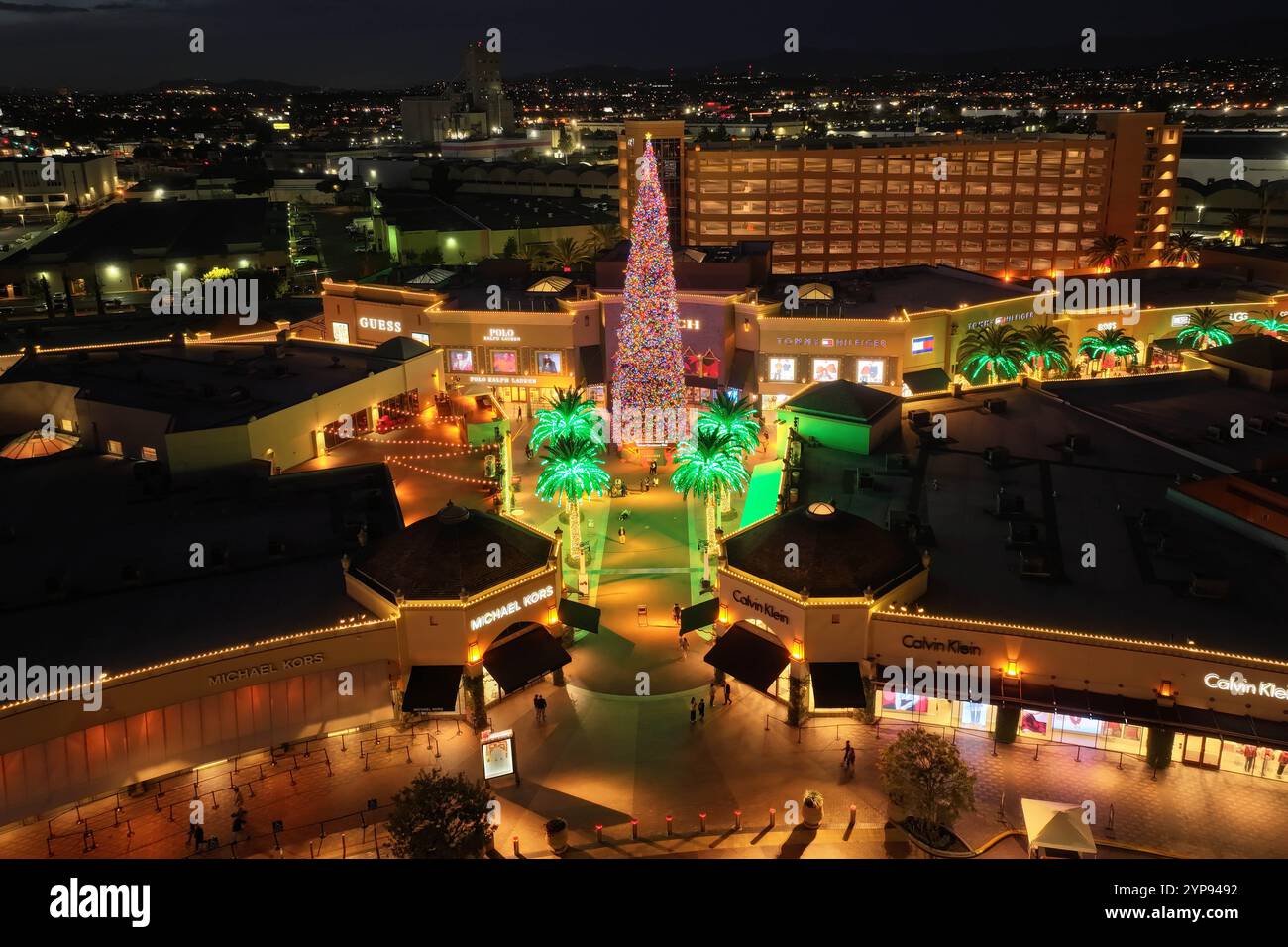 The "World’s tallest fresh-cut Christmas Tree," a 115-foot white fir ...