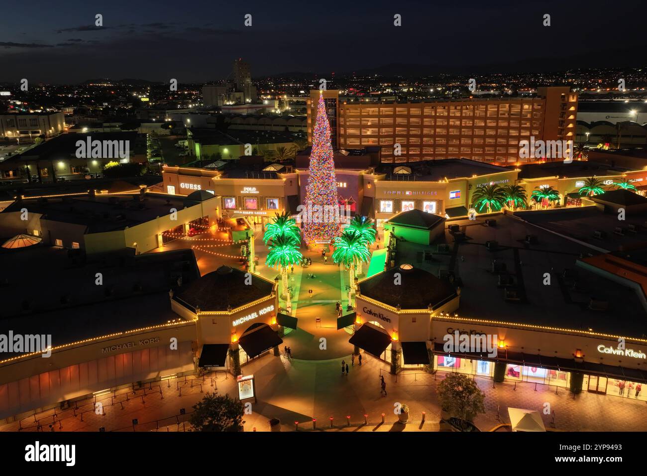 The "World’s tallest fresh-cut Christmas Tree," a 115-foot white fir ...