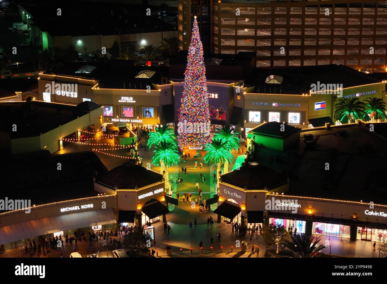 The "World’s tallest fresh-cut Christmas Tree," a 115-foot white fir ...