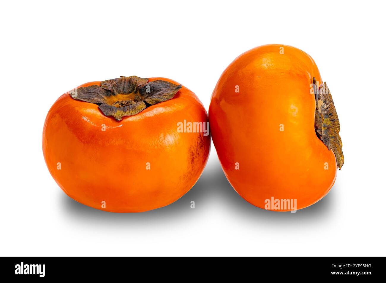 Closeup view of ripe Persimmon fruit, Diospyros kaki, Chinese Persimmon ...