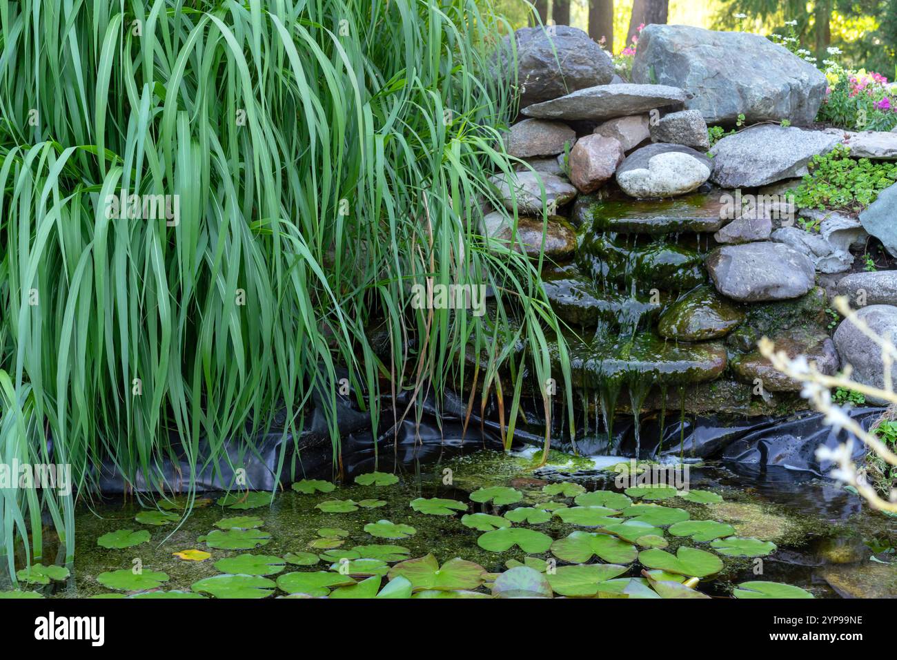 Artificial waterfall in a composition with stones, grass and water ...