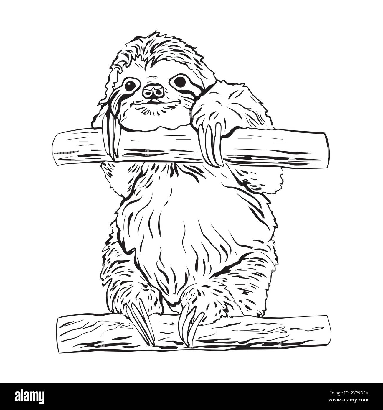 Hand drawn sloth sitting on a branch in graphic style. Vector ...
