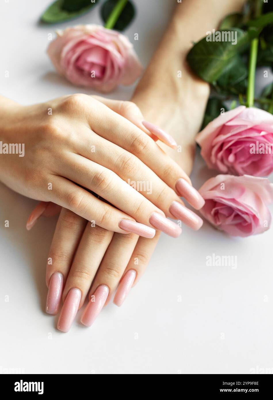 Perfect pastel pink manicure with pink roses on a white background ...