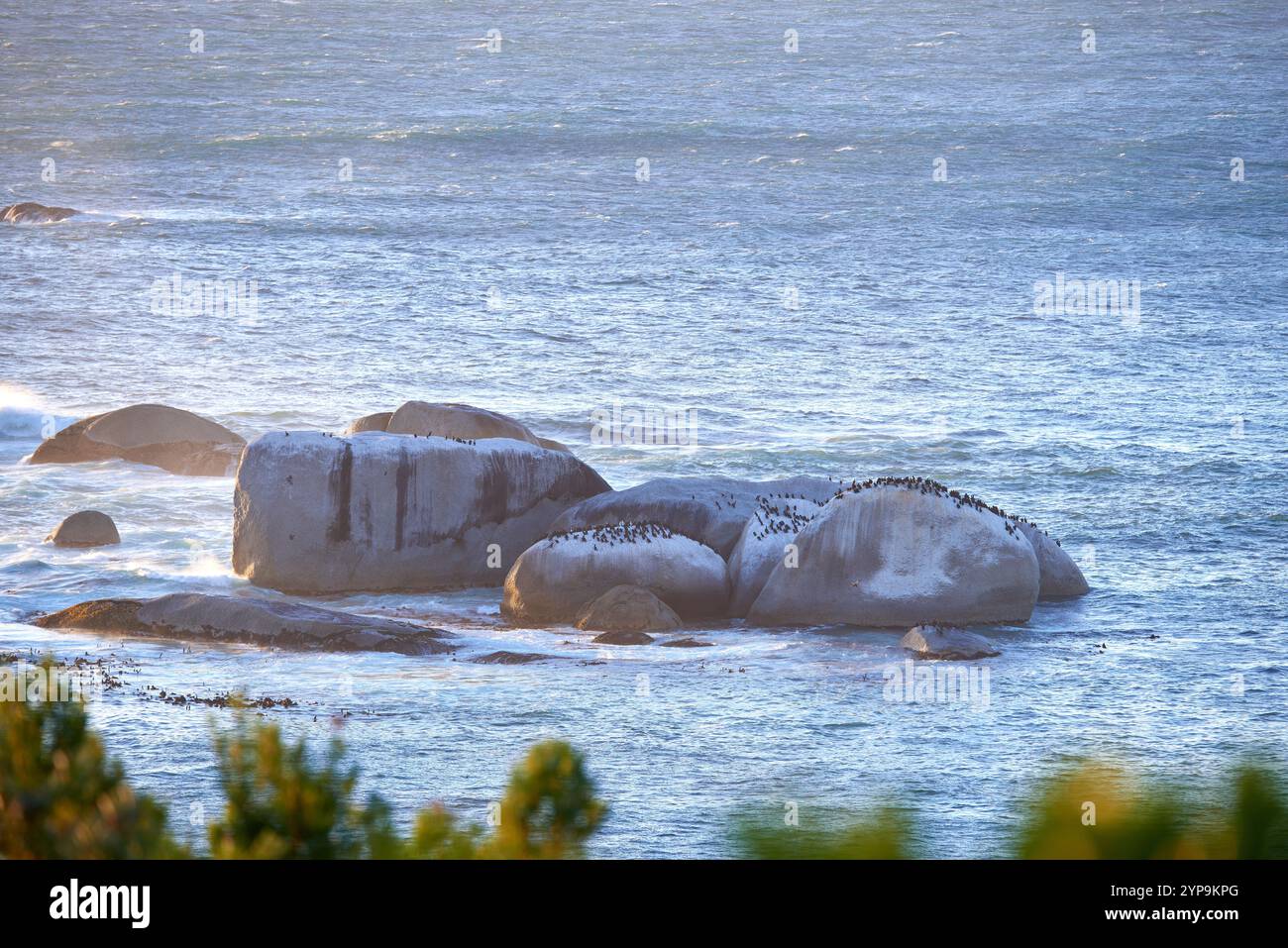Island, rocks and calm beach with water, birds and tropical environment ...