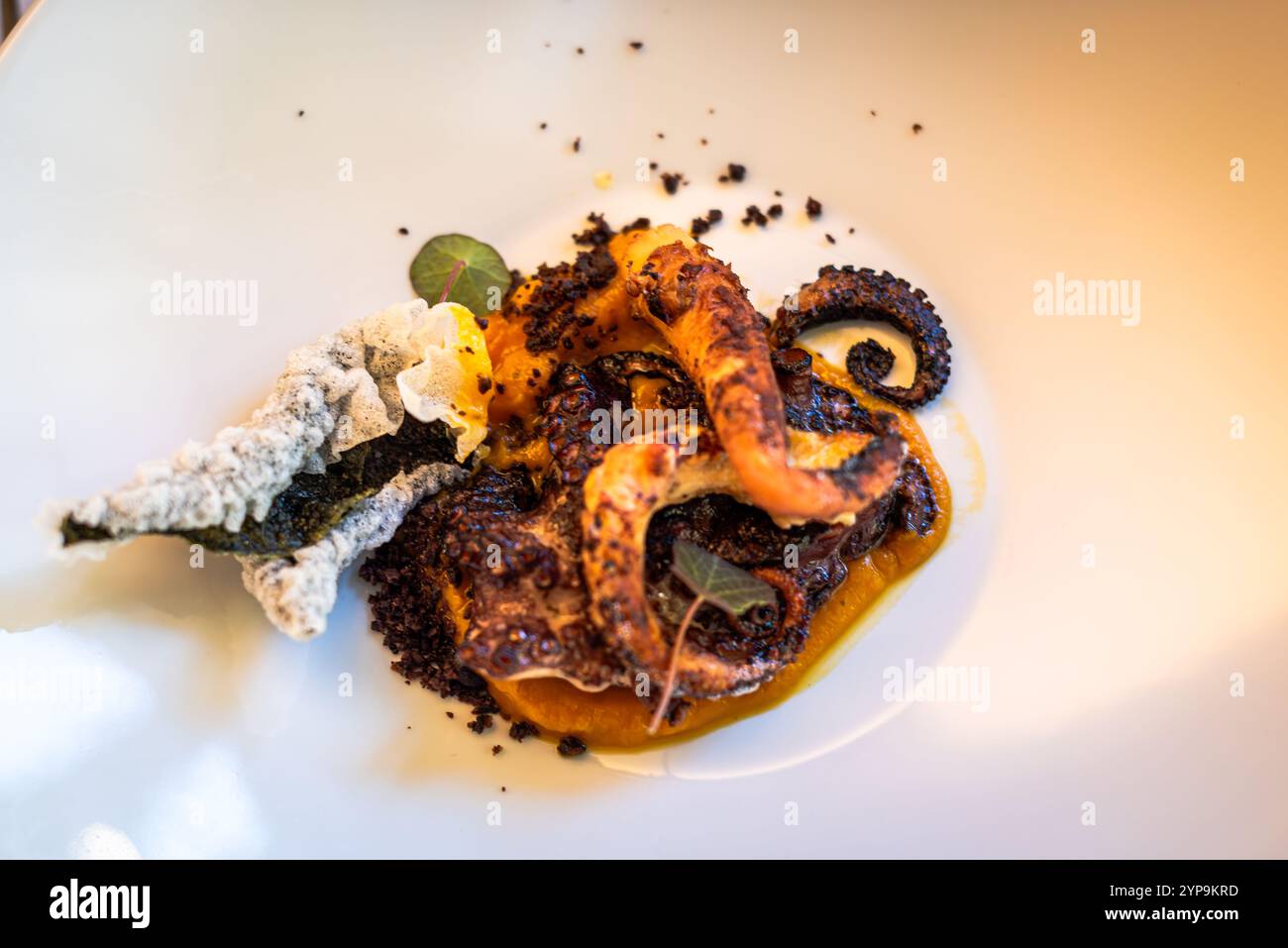 Tentacles illustrations hi-res stock photography and images - Alamy