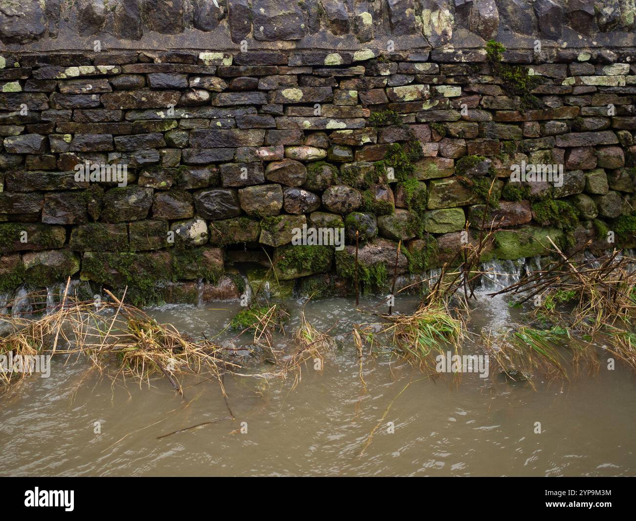 Water seeping through an old dry stone wall causing flooding on a ...