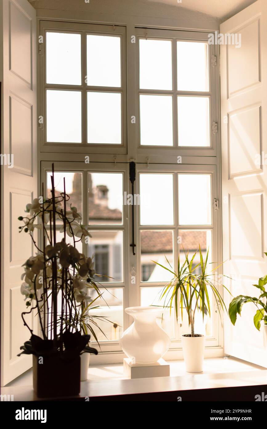 Light from the window of an ancient european palace Stock Photo - Alamy