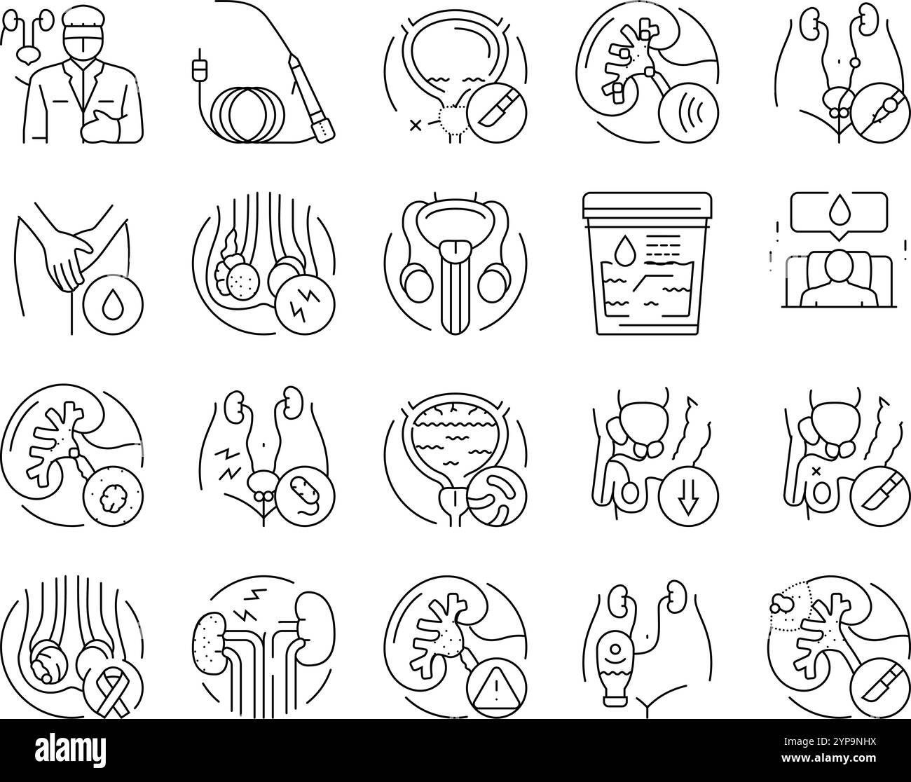 urology prostate urinary kidney icons set vector Stock Vector Image ...