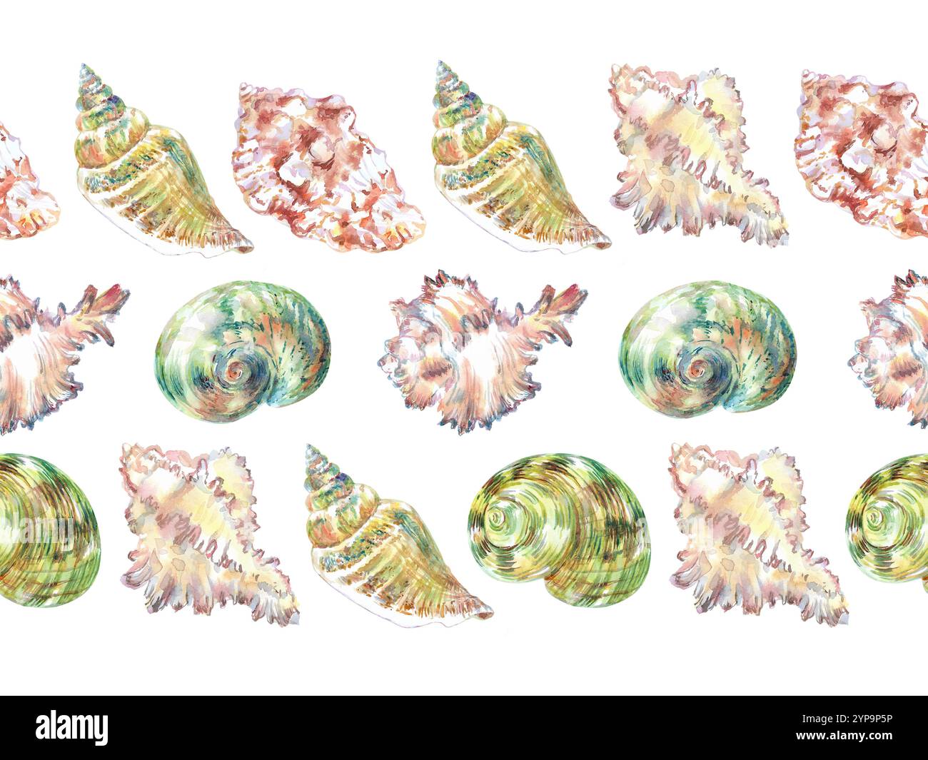 Turbo nautilus hi-res stock photography and images - Alamy