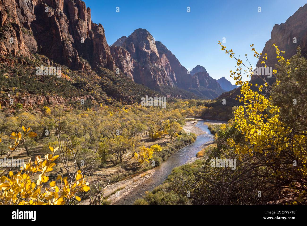 Experience the breathtaking beauty of Zion National Park in Springdale ...