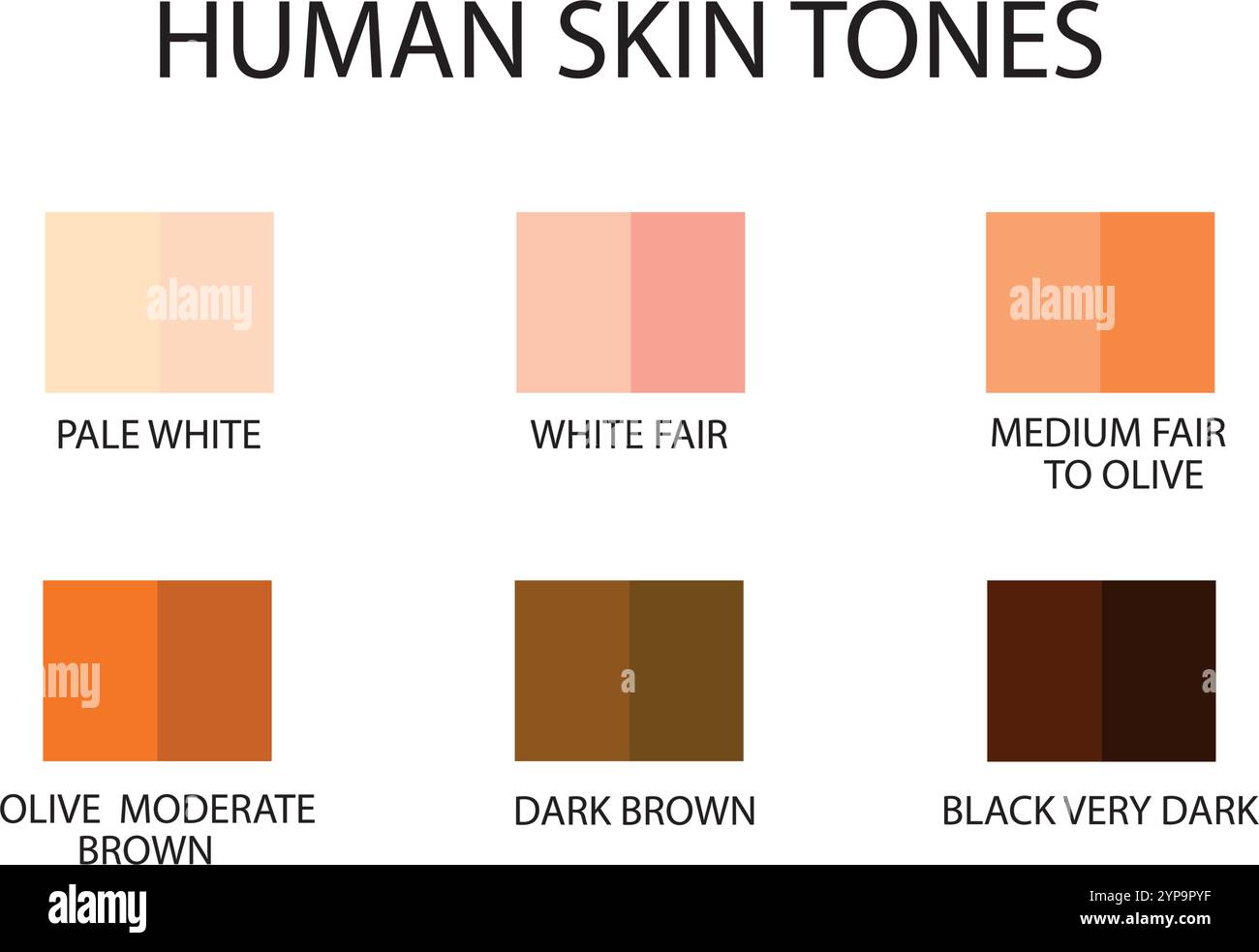 Human skin tone set of six with names. Skin types rounded square tones ... Human skin tone set of six with names. Skin types rounded square tones ...