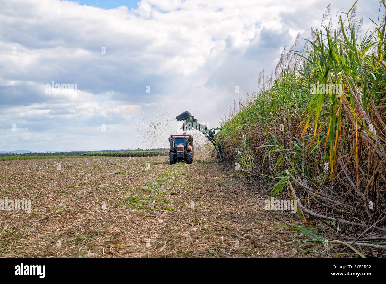 Sugar cane harvest, tractor harvester machinery, farm farming ...