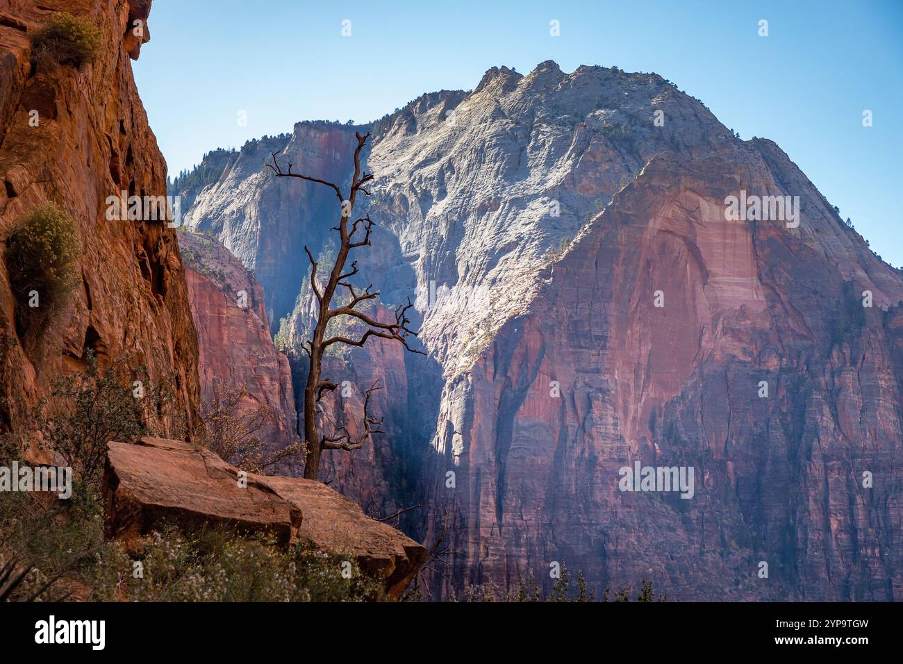 Discover the breathtaking beauty of Zion Canyon, featuring stunning ...