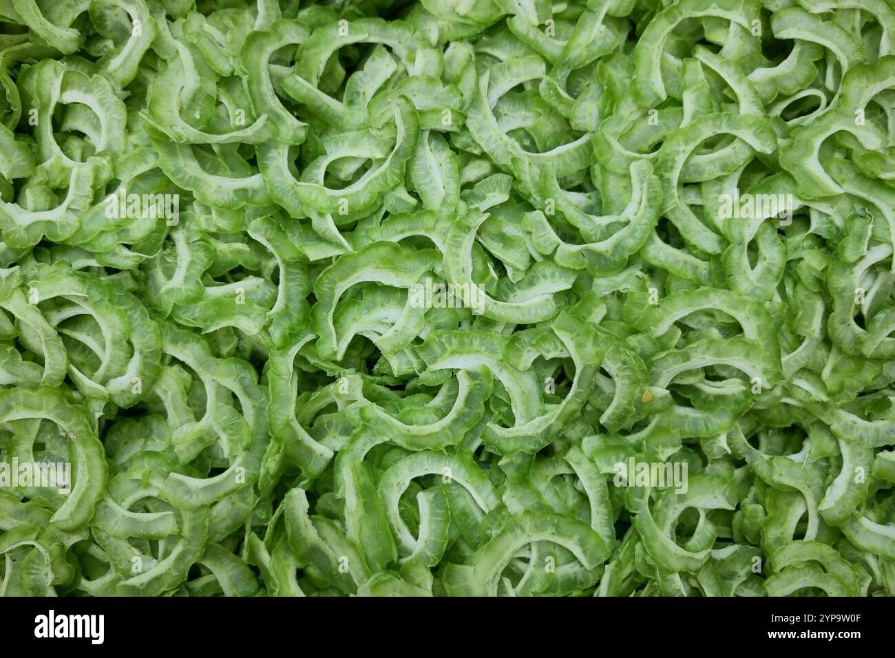 Slices of freshly cut bitter gourd perfect as background in graphic ...
