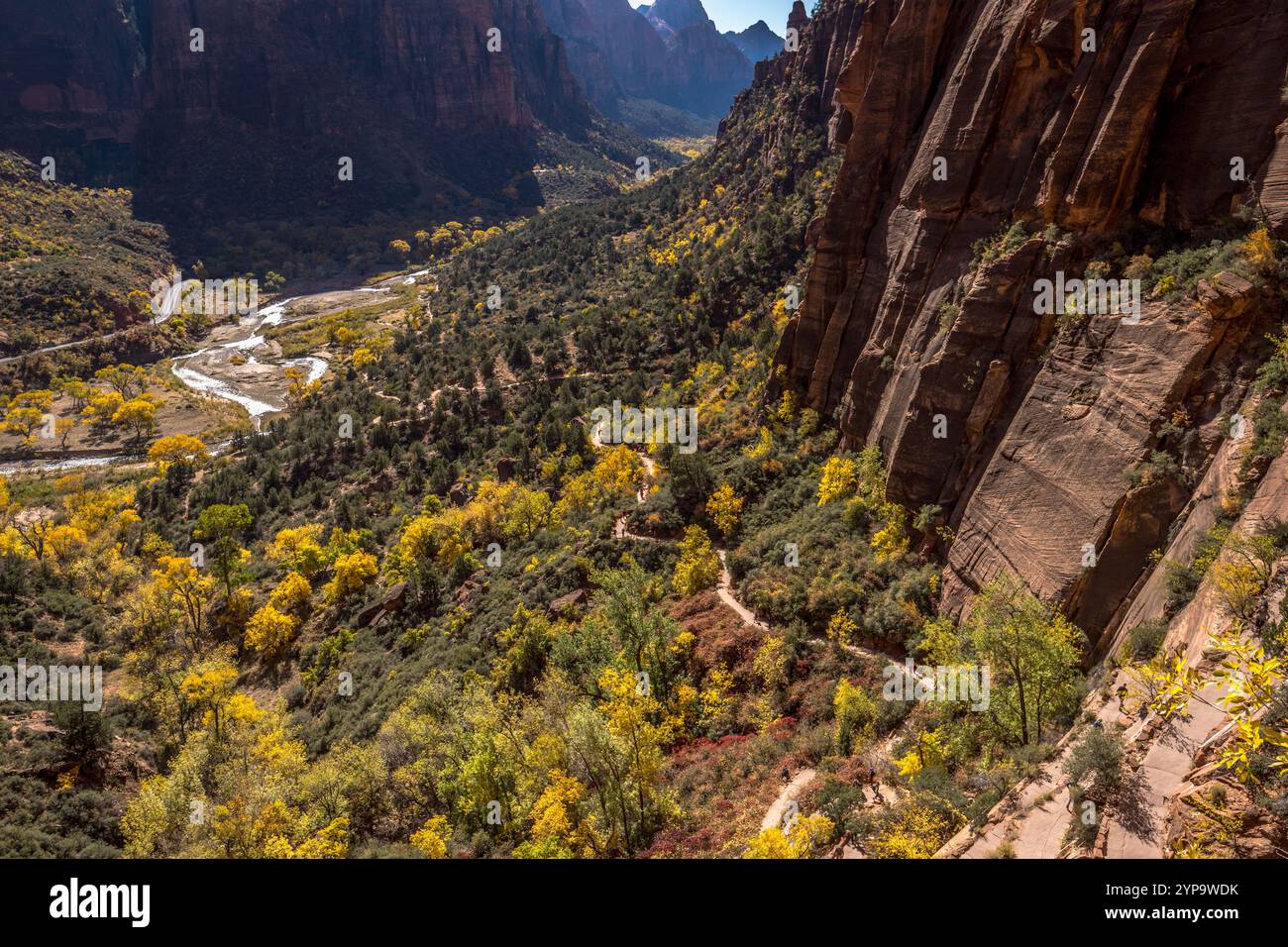 Nestled in Zion National Park, the West Rim Trail offers breathtaking ...